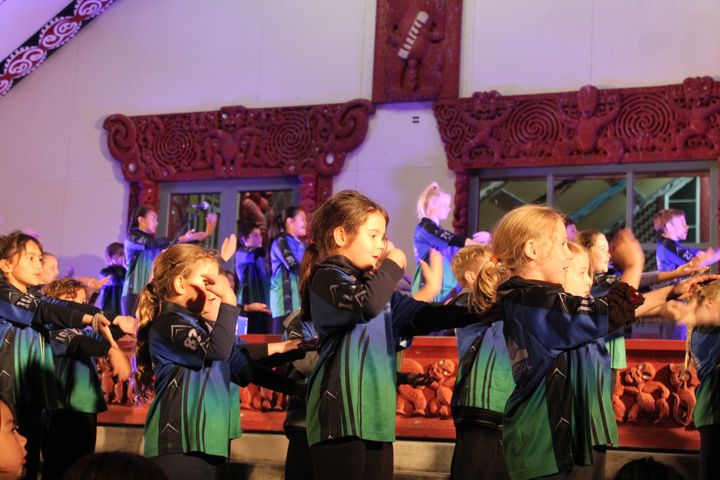 Portfolio – Pukehou School