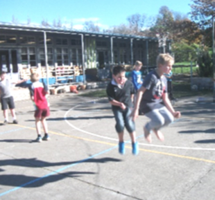 Week 6 – Term 2 – Pukehou School