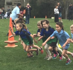 Week 6 – Term 3 – Pukehou School