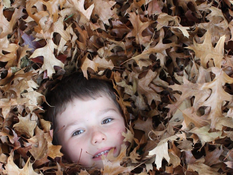 About Us – Pukehou School