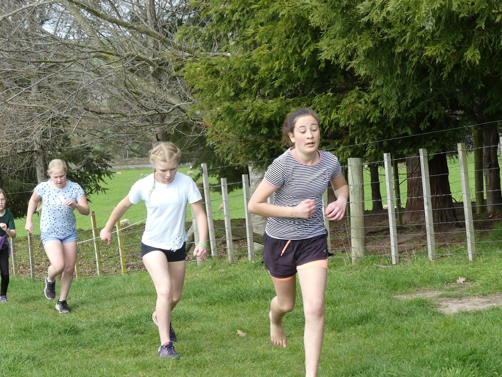 Week 7 Term 3 – Pukehou School