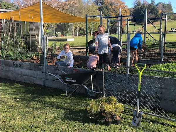 Week 7 Term 2 – Pukehou School