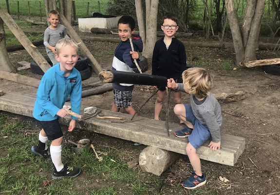 Newsletters – Pukehou School