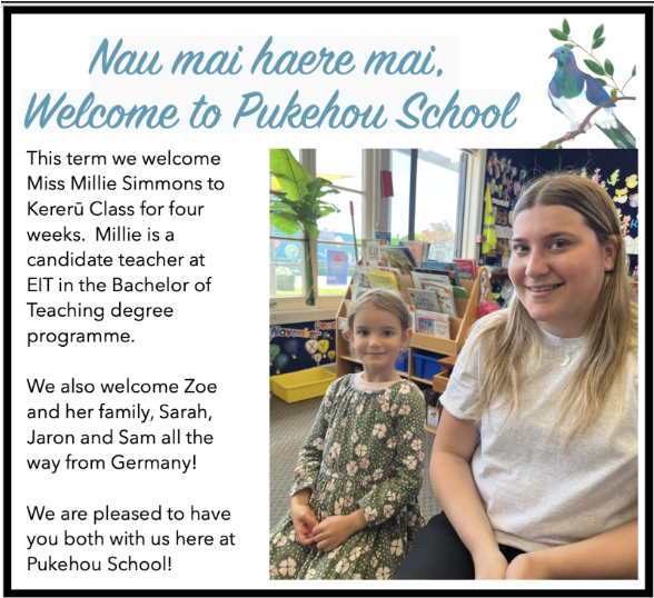 Term 4, Week 1 – Pukehou School